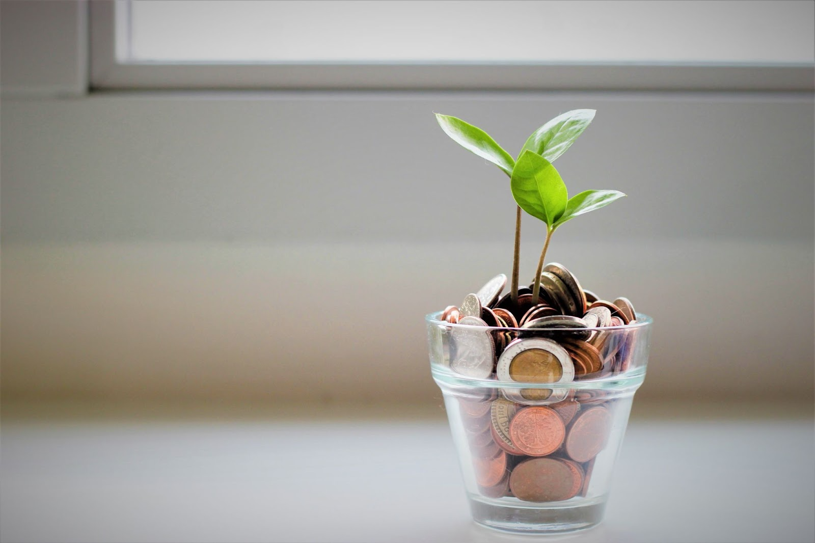 Former CFO David Johnston Explains Financial Challenges for Emerging ...